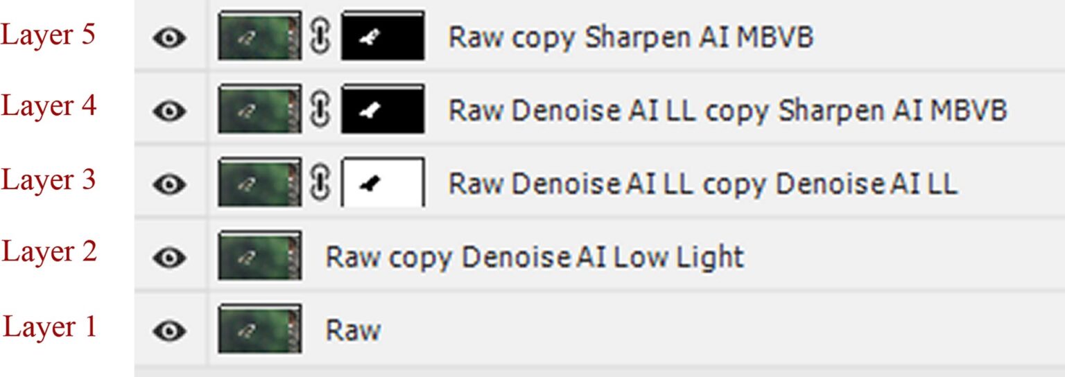 Dealing with Noise: Salvaging a Severely Underexposed High ISO Image ...